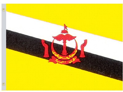 6'x10' Printed Brunei Flag | Flag World Inc Shopping