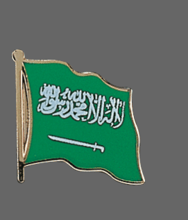 Saudi Arabia Lapel Pin | Flag World Inc Shopping